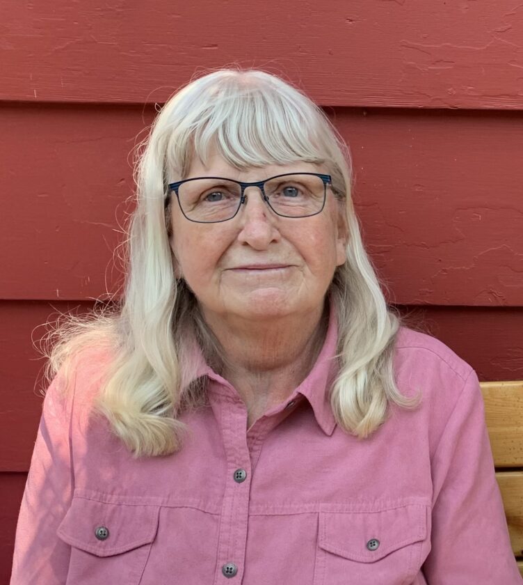 Laura Grenier Johnson | News, Sports, Jobs - Daily Press